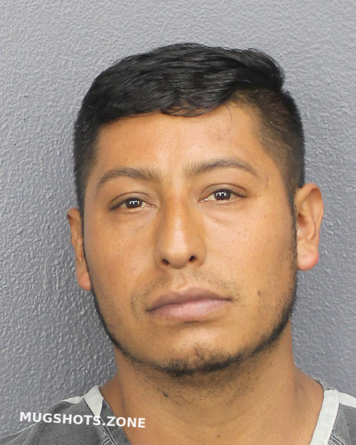 ALVIZURES JOLON JOSE DANILO 04/25/2025 - Broward County Mugshots Zone