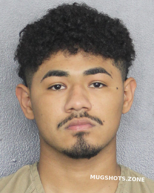 VILLEDA MORAZAN JOSEPH GAEL 05/31/2025 - Broward County Mugshots Zone