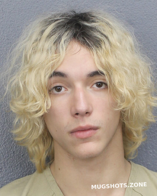 DUARTE MATTHEW ALEXANDER 06/10/2025 - Broward County Mugshots Zone