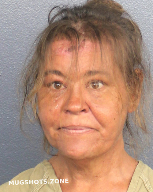 HINKLE JENNIFER RENEE 06/11/2025 - Broward County Mugshots Zone