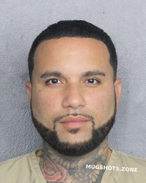 VILLANUEVA CHRISTOPHER ALEXIS 07/04/2025 - Broward County Mugshots Zone