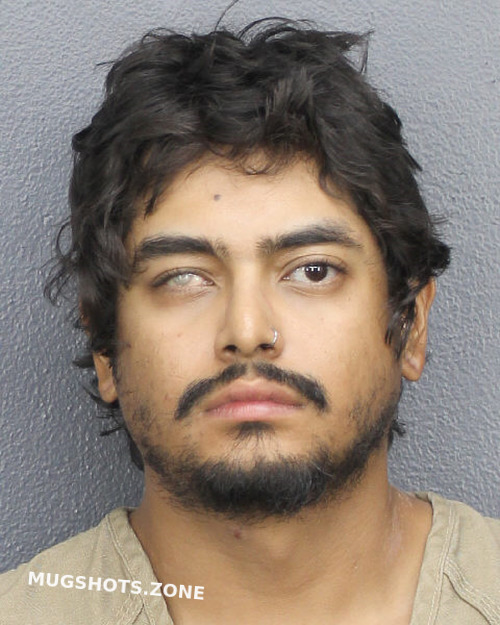 GAMEZ ALEXANDER 07/13/2025 - Broward County Mugshots Zone