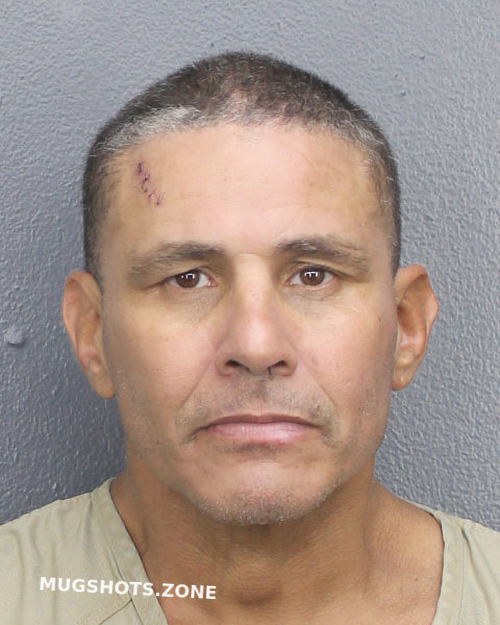 ALVELO BARRY A 08/13/2025 - Broward County Mugshots Zone