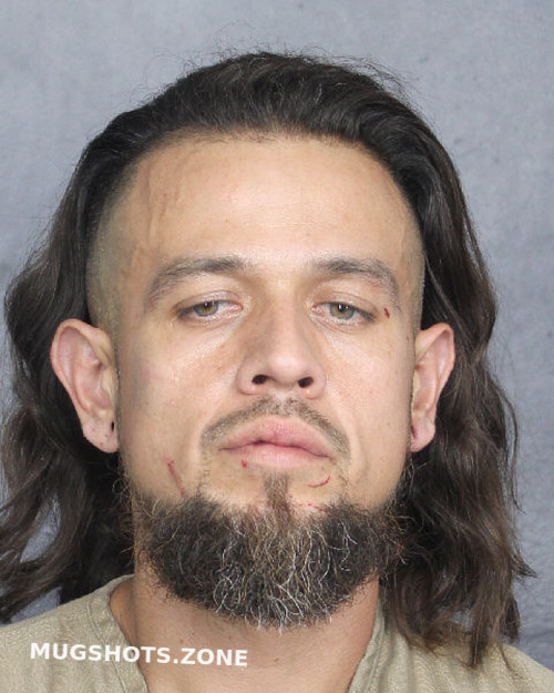 MARIN BRAIN 08/17/2025 - Broward County Mugshots Zone