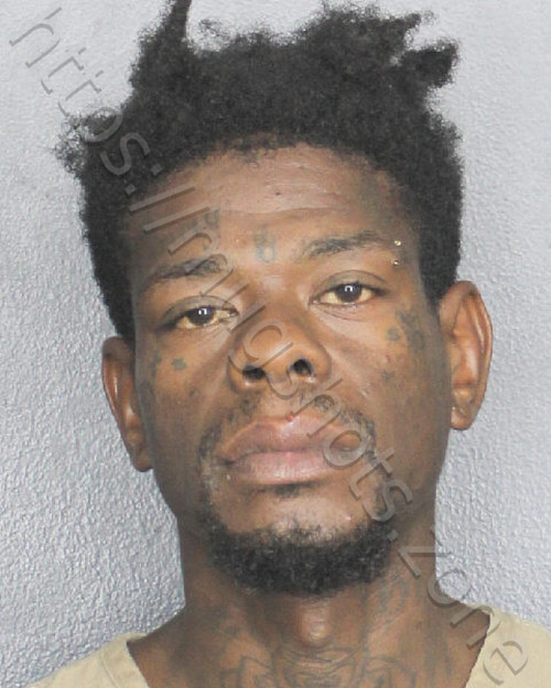HARRIS BRANDON FRANK 04/29/2026 - Broward County Mugshots Zone