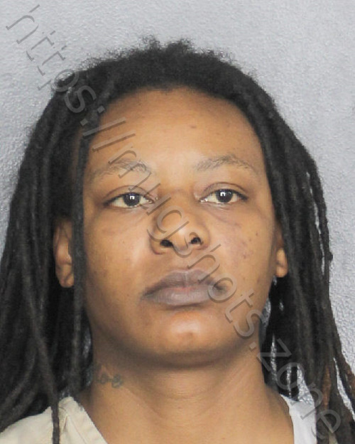 ST REMY MELISSA 05/15/2026 - Broward County Mugshots Zone