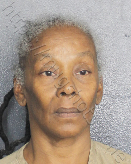 HOPE NERISSA MARIA ELAINE 05/18/2026 - Broward County Mugshots Zone
