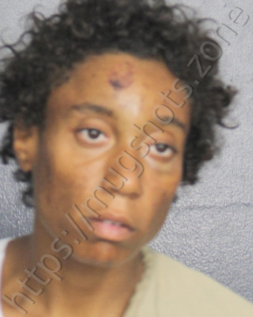 GALBRAITH CHAKHINIA MICHAELI 05/19/2026 - Broward County Mugshots Zone