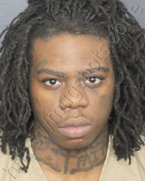 GRAHAM CALAEL LENARD 05/20/2026 - Broward County Mugshots Zone