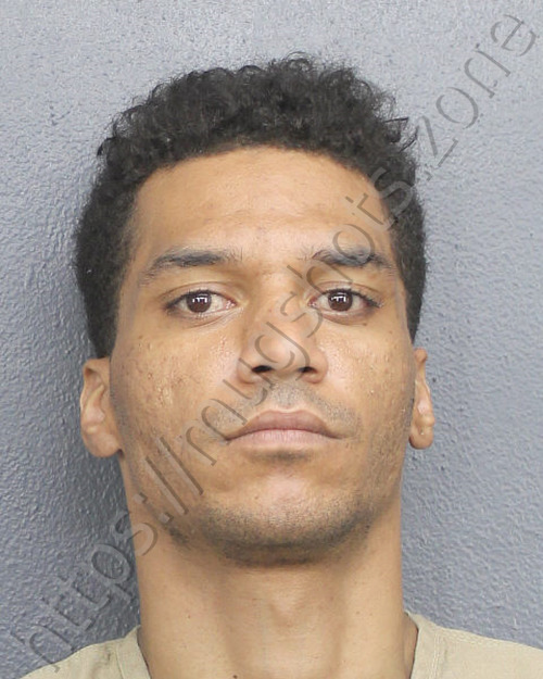 MARTIN KENNETH LENARD 05/21/2026 - Broward County Mugshots Zone