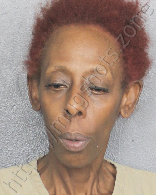 CARTER ANTIONETT LASONIA 05/23/2026 - Broward County Mugshots Zone