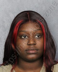 NICOLAS KINDYANAH CAMILLE 06/12/2026 - Broward County Mugshots Zone