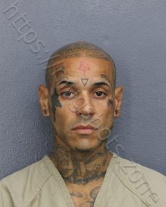 BLOUNT THEODORE RAY 06/13/2026 - Broward County Mugshots Zone