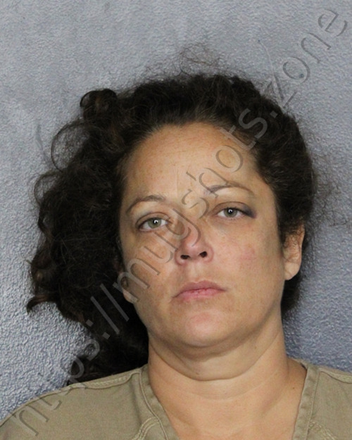 BOEHM JILLIAN MARIE 06/17/2026 - Broward County Mugshots Zone