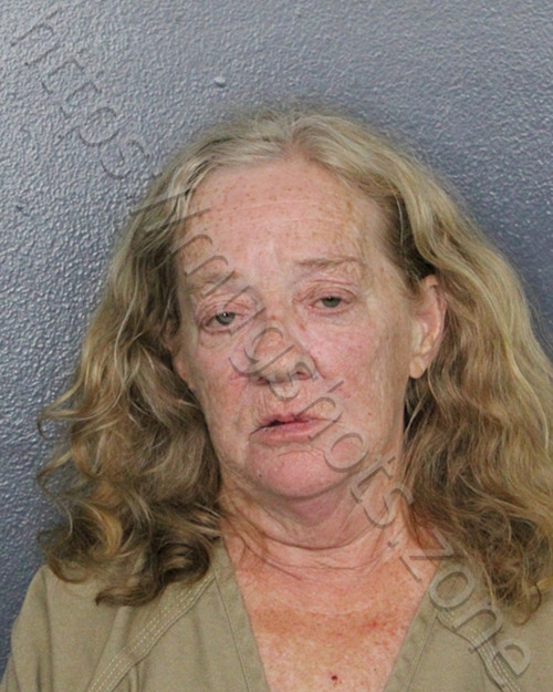 POPE NOREEN LOUISE 06/21/2026 - Broward County Mugshots Zone