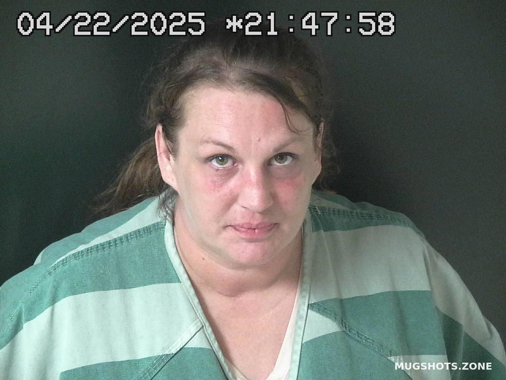 COOK F CHRYSTAL DAWN 04/22/2025 - Brown County Mugshots Zone