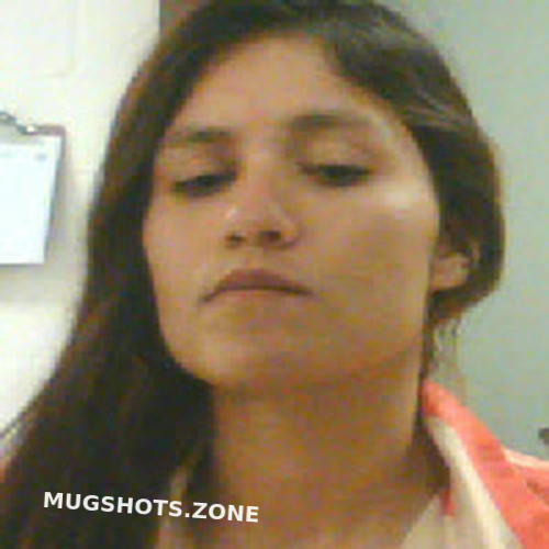 ELIZONDO MIRANDA ELIZABETH 08/06/2024 - Brown County Mugshots Zone