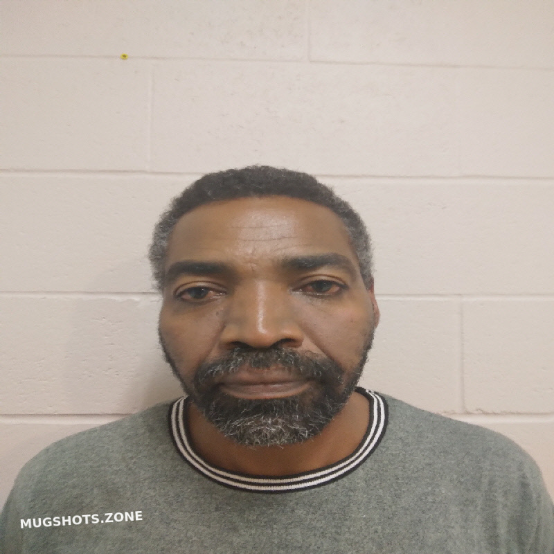 SALIH IMAD E 11/15/2024 - Brown County Mugshots Zone