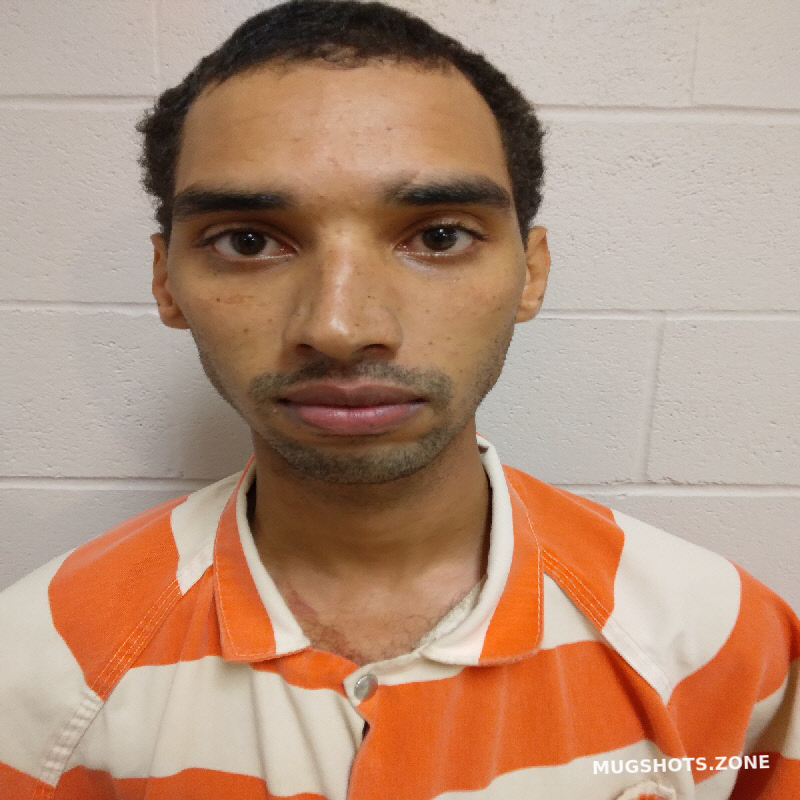 CHRISTOPHER NICHOLAS RENEE 01/19/2025 - Brown County Mugshots Zone