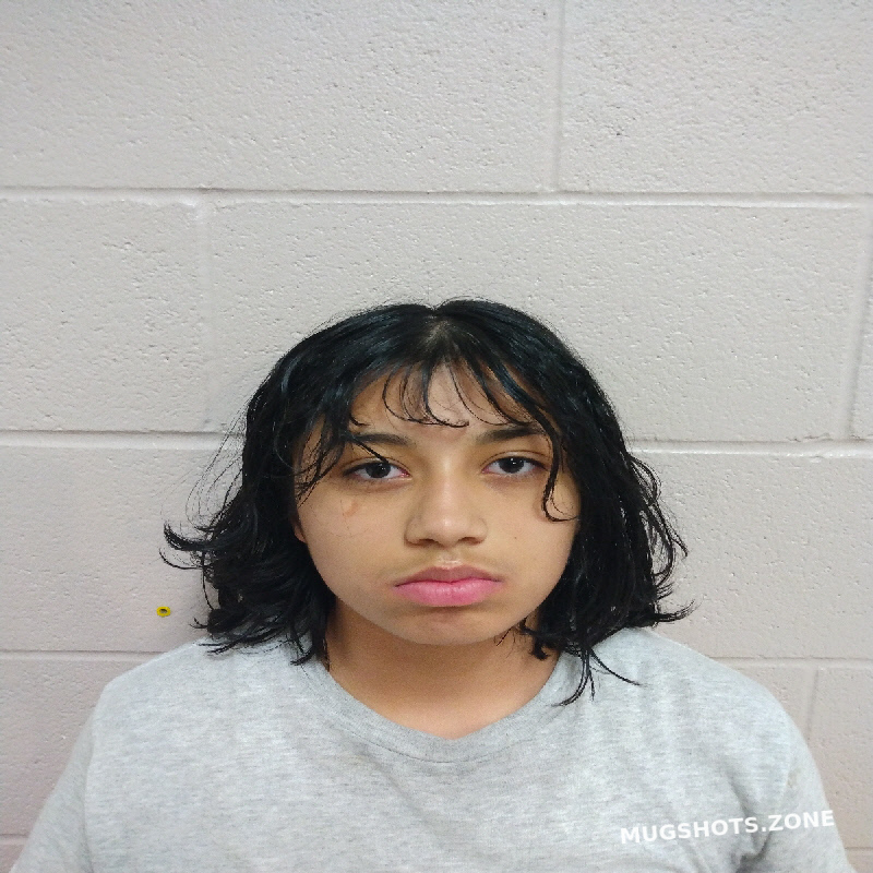GARCIA ALEXIS MARIE 02/14/2025 - Brown County Mugshots Zone