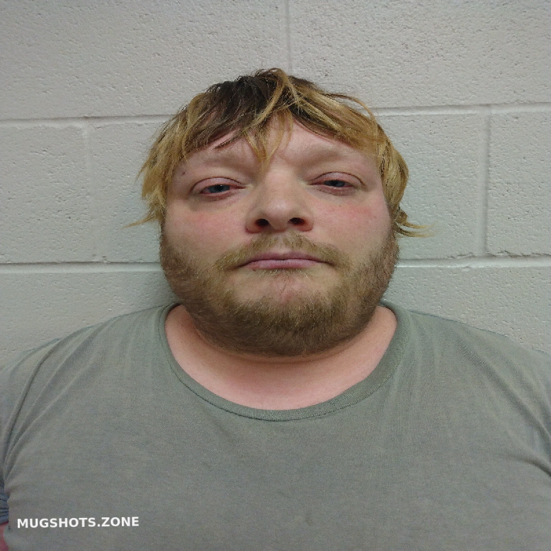 MCCARTHY BRANDON SHANE 03/11/2025 - Brown County Mugshots Zone