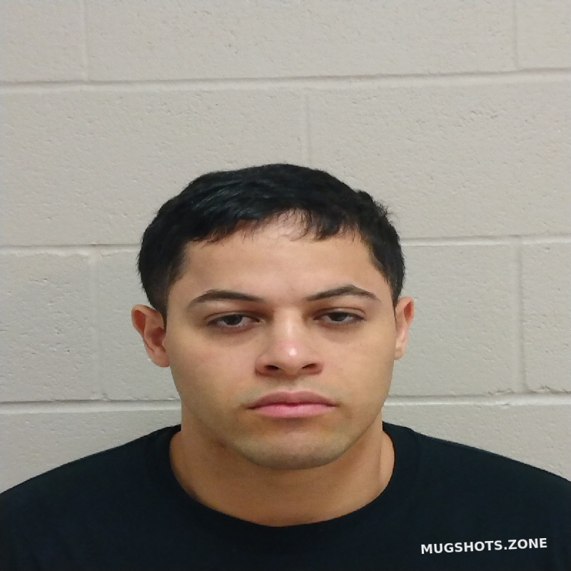 BURGOS-SANTIAGO CESAR LUIS 03/19/2025 - Brown County Mugshots Zone