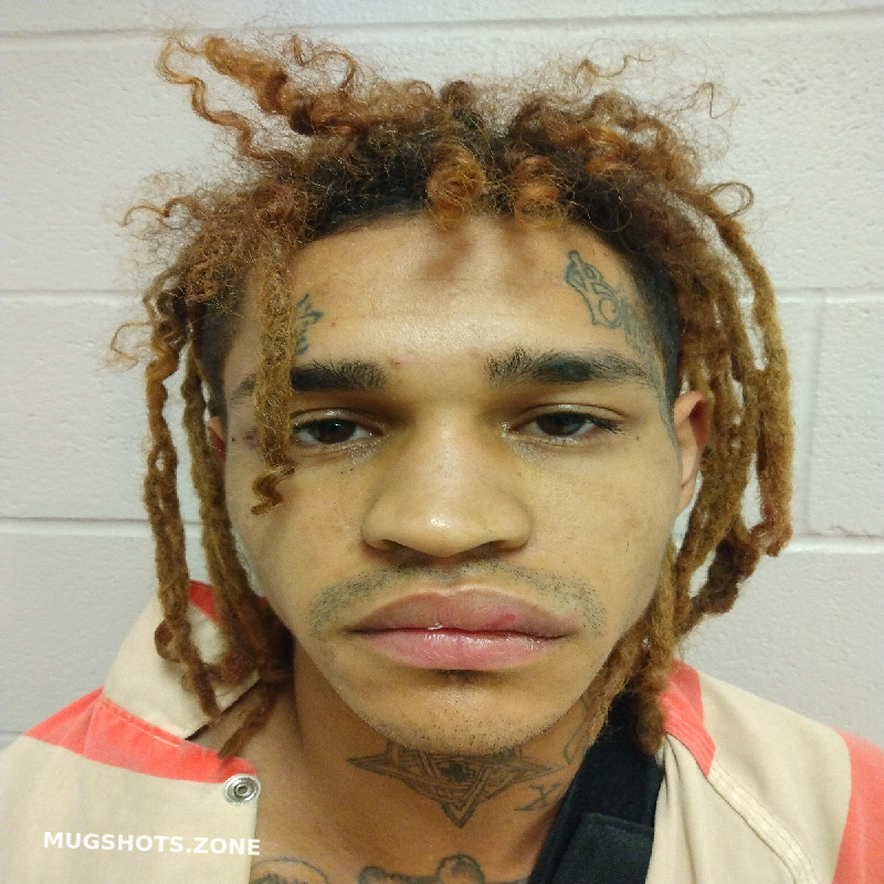 BEANE TRISTAN LEANDREW 04/05/2025 - Brown County Mugshots Zone