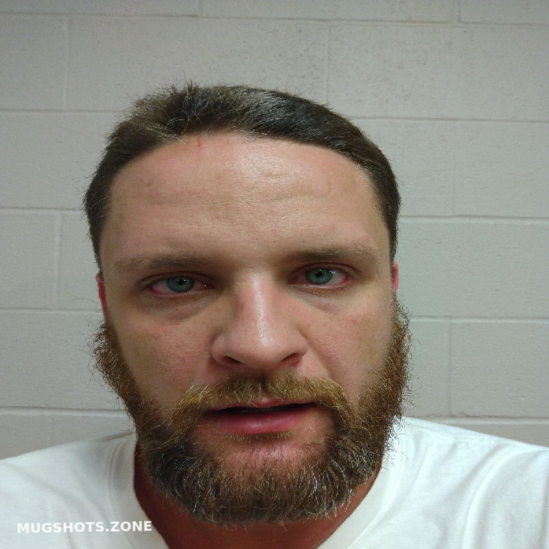 LEDLOW CODIE JAMES 04/25/2025 - Brown County Mugshots Zone