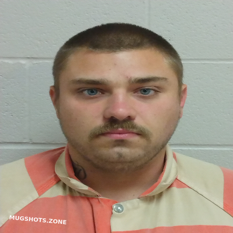 LAW LUKE STEPHEN 04/30/2025 - Brown County Mugshots Zone