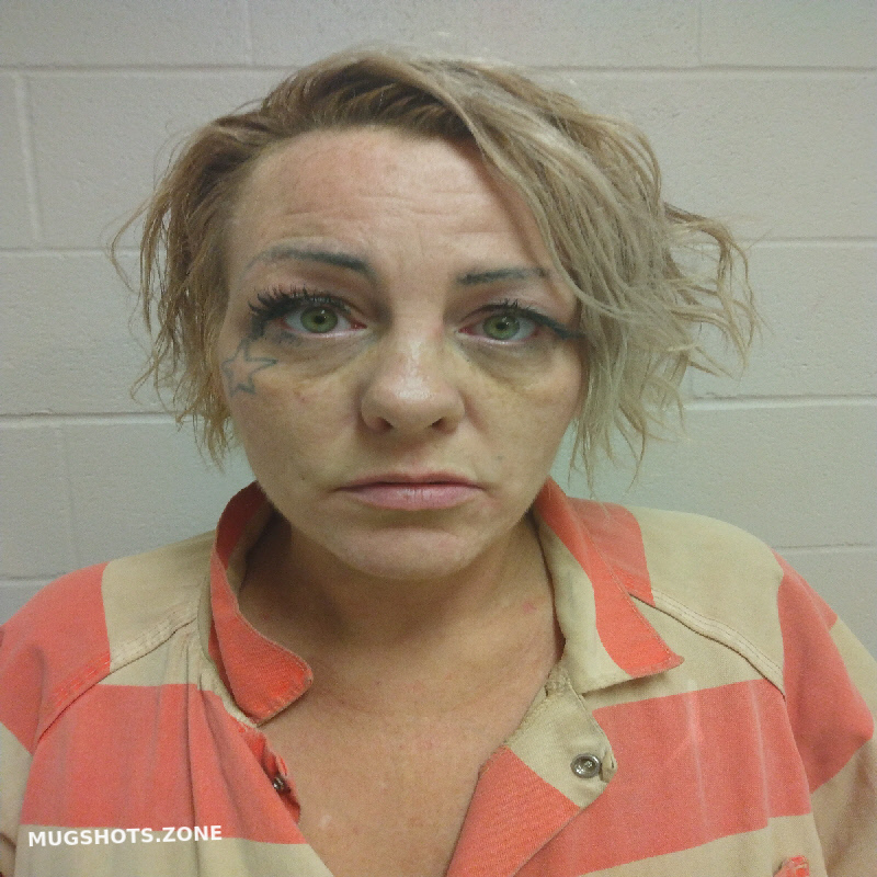 GONZALES ANA LISA 05/18/2025 - Brown County Mugshots Zone