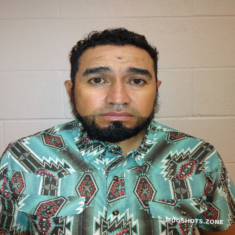 MARES TORRES GABRIEL 06/01/2025 - Brown County Mugshots Zone