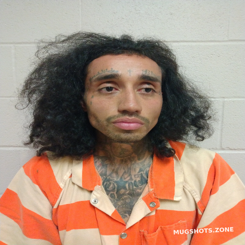 WILEY MONTY STEVENSON 11/30/2025 - Brown County Mugshots Zone