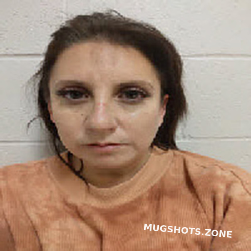 LAING ELIZABETH RENEE 12/24/2025 - Brown County Mugshots Zone