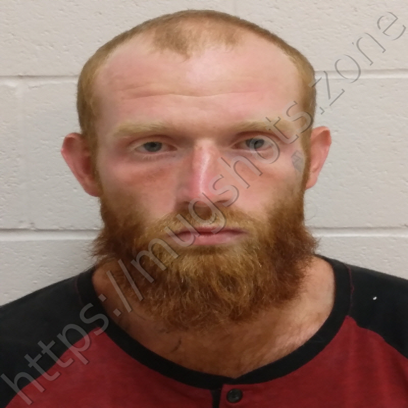 WILDER PATRICK SHEARMAN 03/21/2026 - Brown County Mugshots Zone
