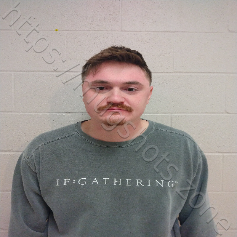 PAINTER ROBERT BRAXTON 03/28/2026 - Brown County Mugshots Zone