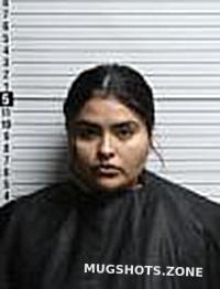 CASTILLO MILKA SARAHI 12/21/2022 - Brunswick County Mugshots Zone