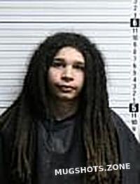 DRAYTON NICHOLAS MILO 03/09/2023 - Brunswick County Mugshots Zone