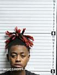 BLAND AUTUMN TAMIA 03/29/2023 - Brunswick County Mugshots Zone