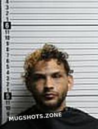 WARE GREGORY STEPHAN 04/04/2024 - Brunswick County Mugshots Zone