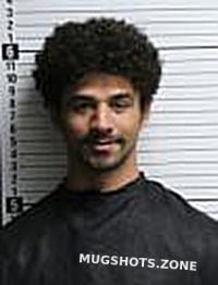 WADDELL KEYON LEE 04/15/2024 - Brunswick County Mugshots Zone