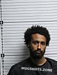 CARR TEVIN SINCERE 08/01/2024 - Brunswick County Mugshots Zone