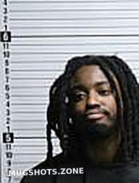 LIVINGSTON ANDREW TEAGAN 11/30/2024 - Brunswick County Mugshots Zone