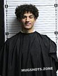 WADDELL KEYON LEE 06/03/2025 - Brunswick County Mugshots Zone