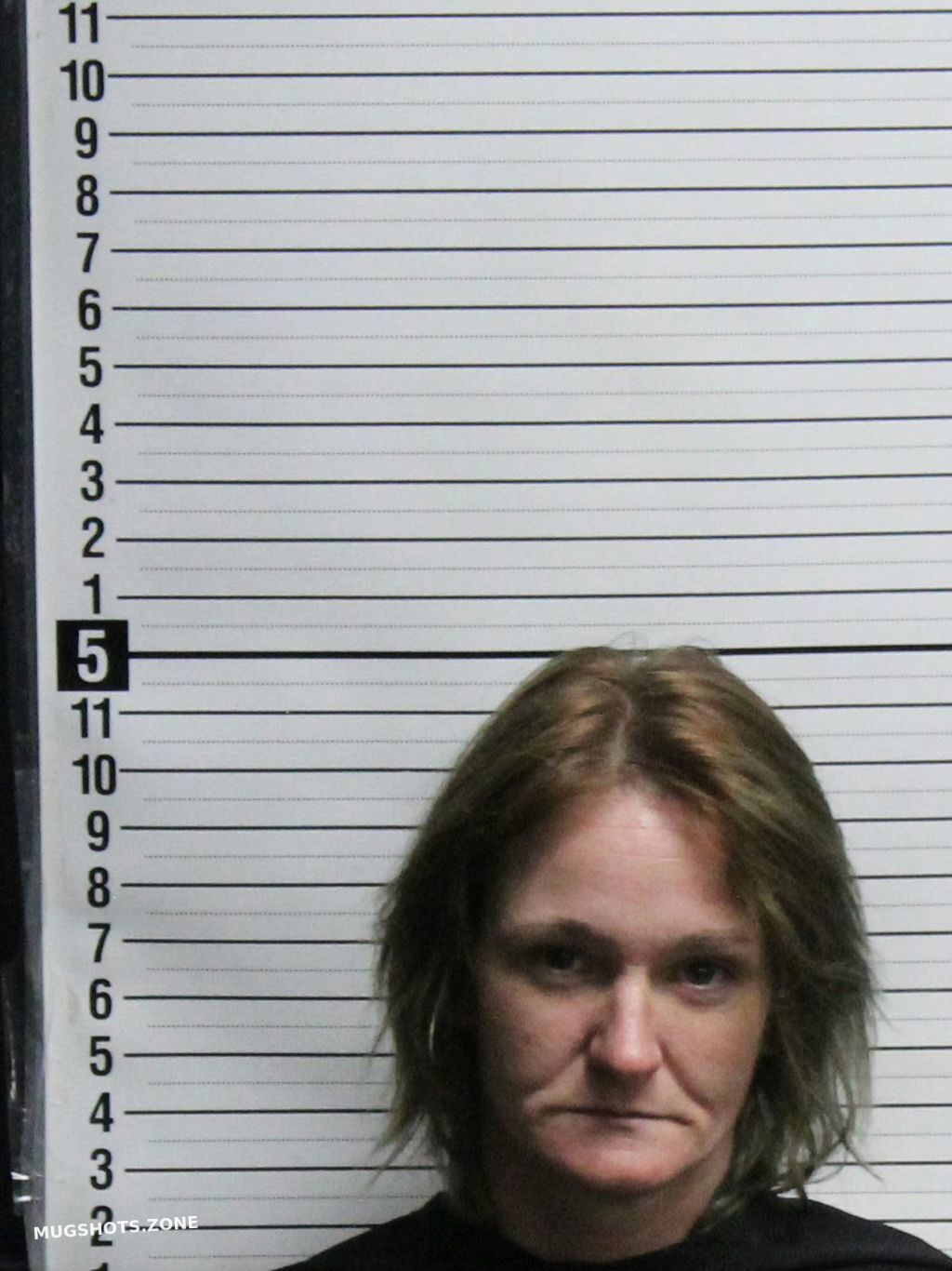 EDWARDS STACY LYNN 08/05/2025 - Brunswick County Mugshots Zone