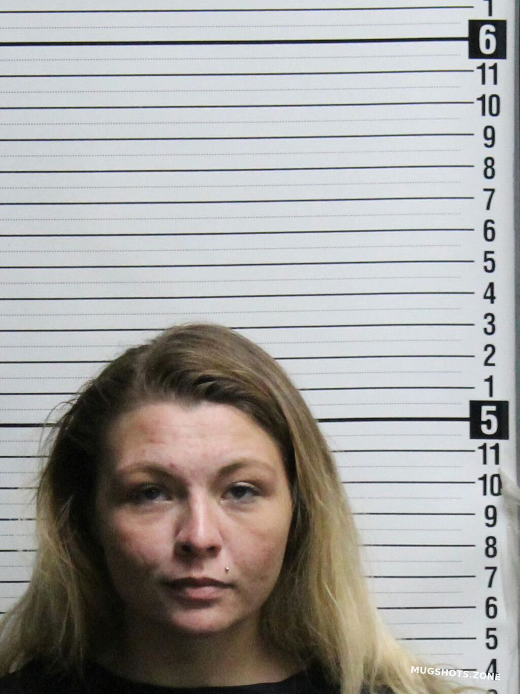 ELLIS BETHANY LEANN 09/15/2025 - Brunswick County Mugshots Zone
