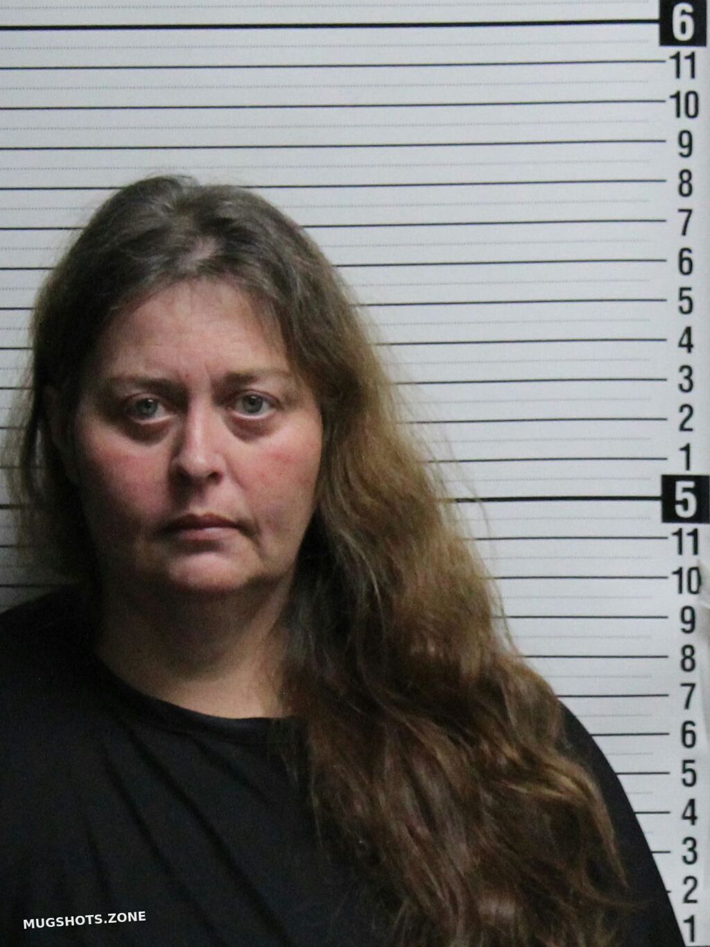 HARRELL ASHLEY NICOLE 10/23/2025 - Brunswick County Mugshots Zone