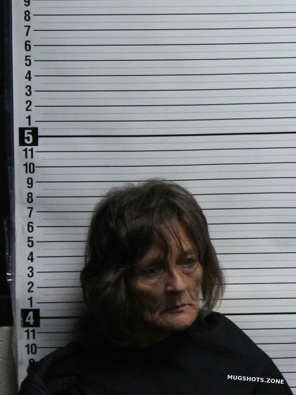 GUADAGNOLI DEBBIE LYNN 11/02/2025 - Brunswick County Mugshots Zone