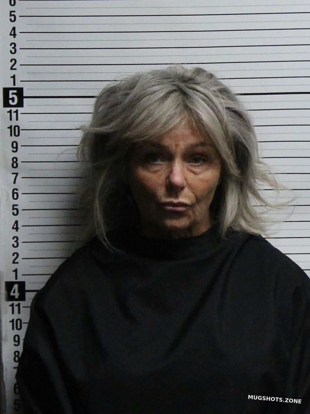 WILSON SHARON MICHELE 11/19/2025 - Brunswick County Mugshots Zone