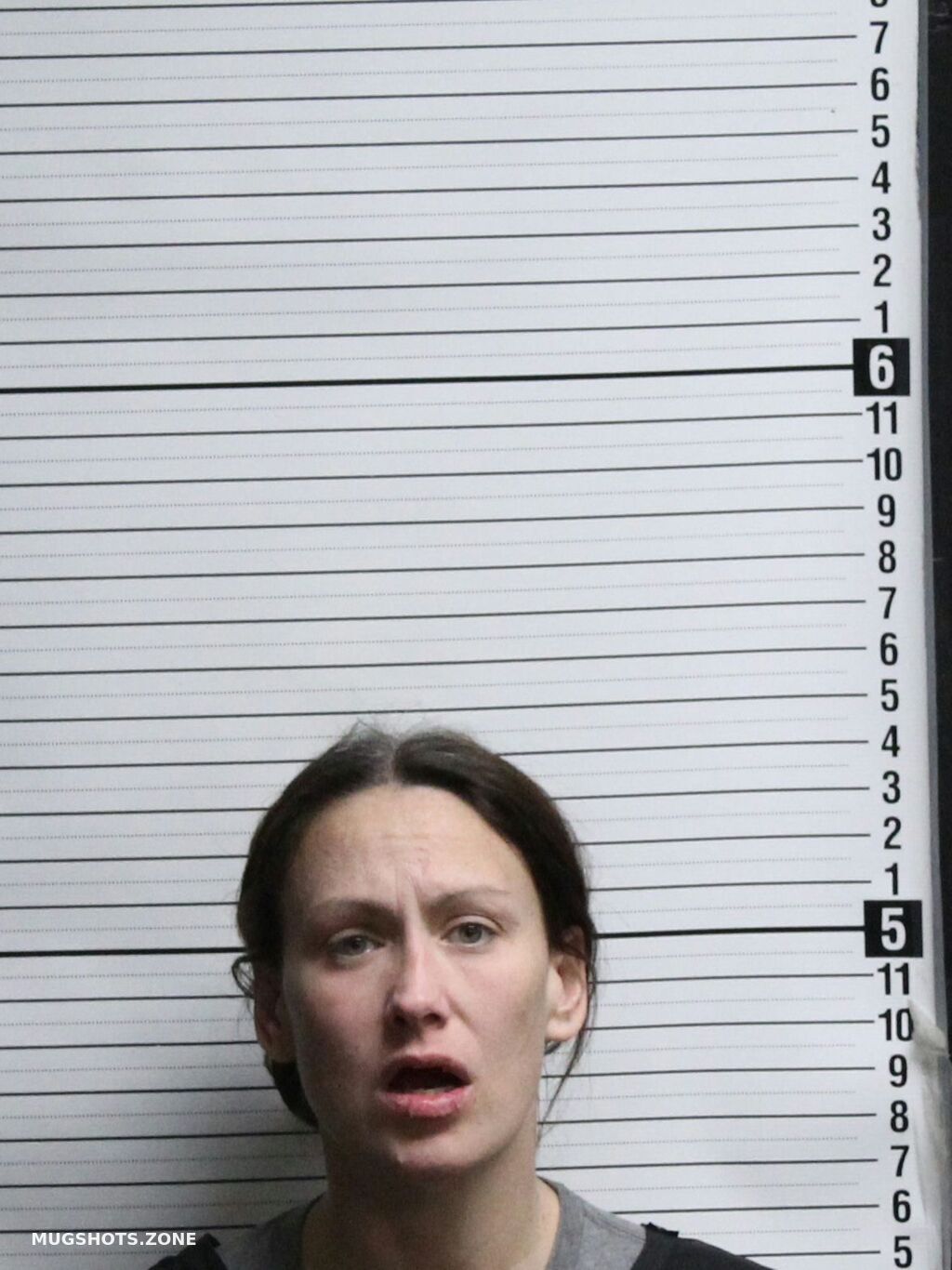 CANADY ANNA MARIE 02/05/2026 - Brunswick County Mugshots Zone
