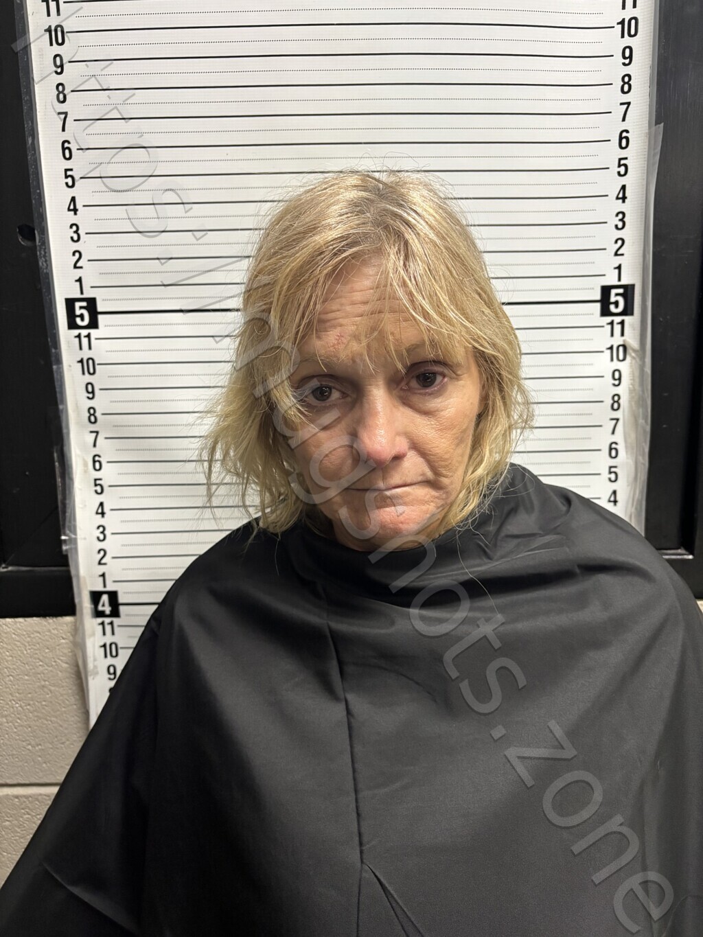 GRAY TINA HOWARD 05/27/2026 - Brunswick County Mugshots Zone